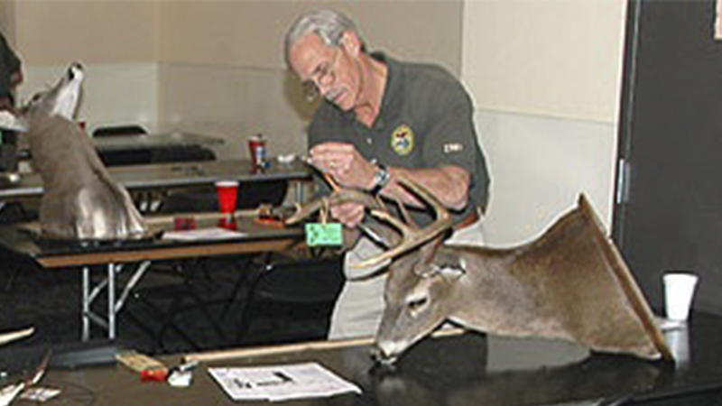 SCDNR antler measuring sessions for 2023 - Carolina Sportsman