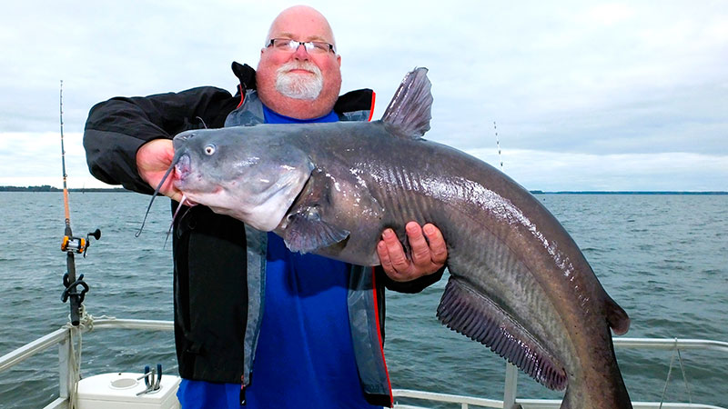 November is catfish time at Santee