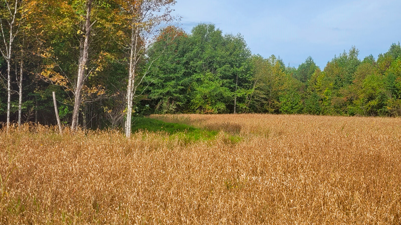 NCWRC announces new public game land