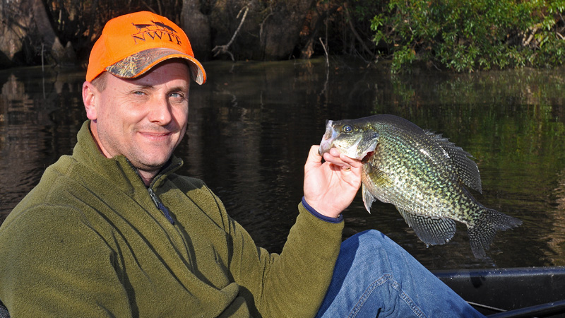 Creek crappie