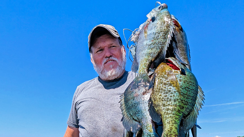 Busting big bream