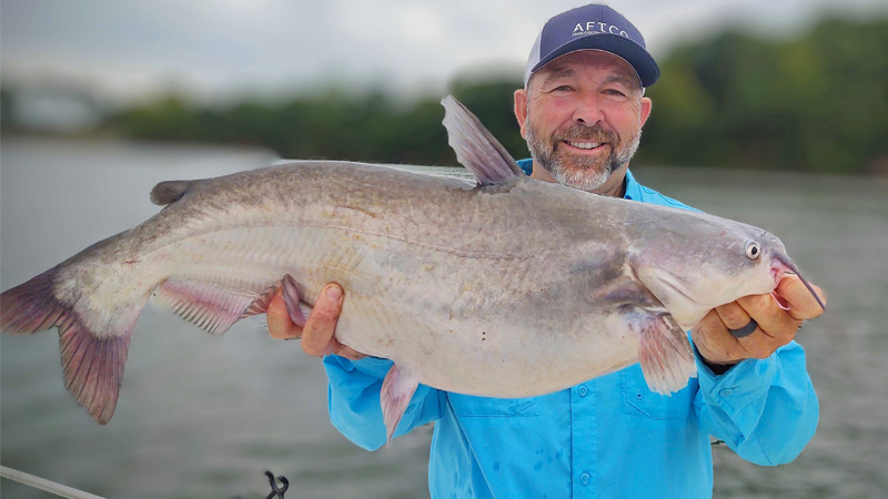 Cover water for catfish