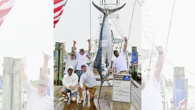 BIG TROUBLE wins Big Rock with 517-pound blue marlin - Carolina Sportsman