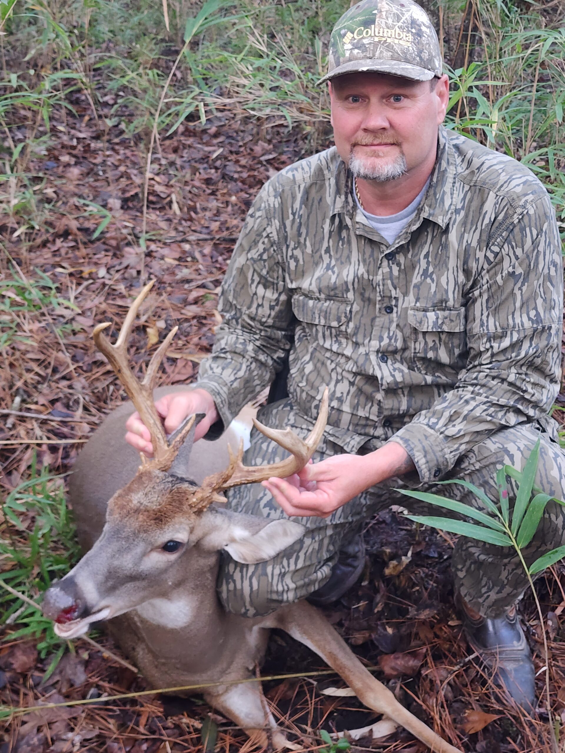 14 point buck
