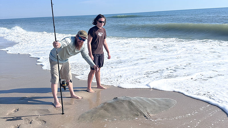 NC angler catches giant ray
