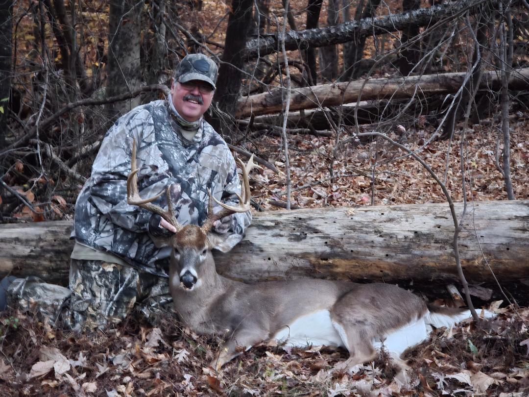 Thicket Buck